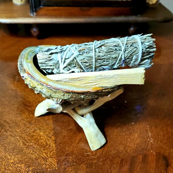 Mini Abalone Shell Kit | Etsy