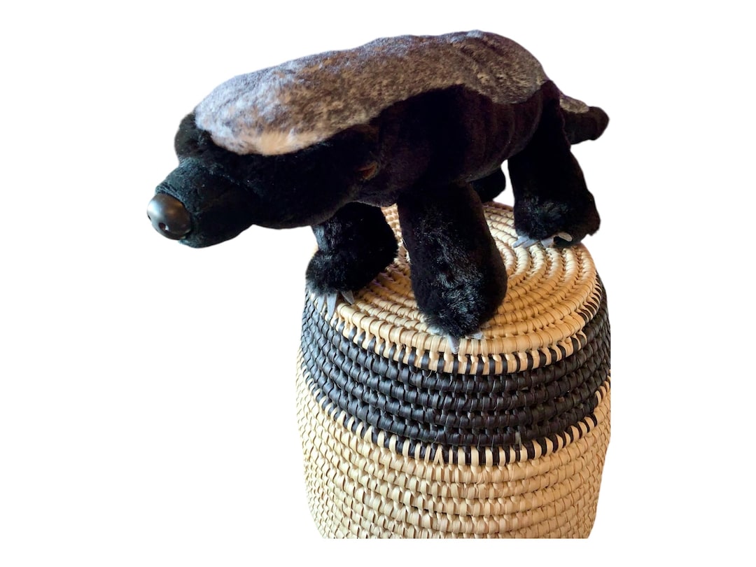 Plush Honey Badger 50cm 19.7", Plushie, South African Honey Badger ...