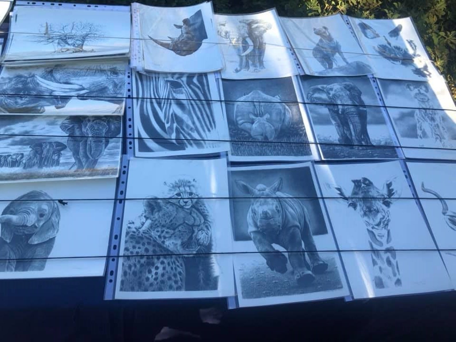 Zebra Original Graphite Drawing 30cm X 42cm Signed by Artist - Etsy