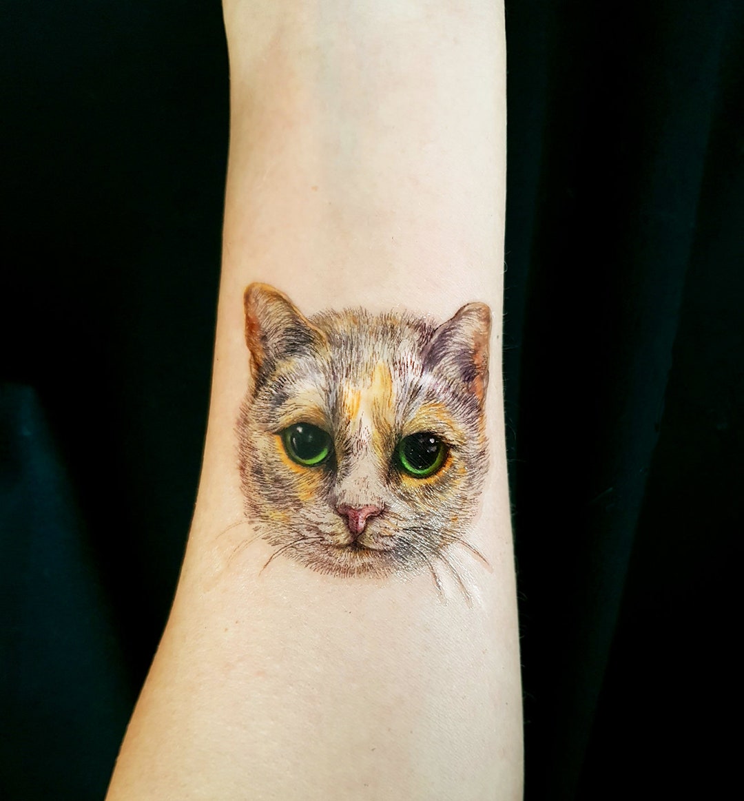 Cat Frame Tattoos