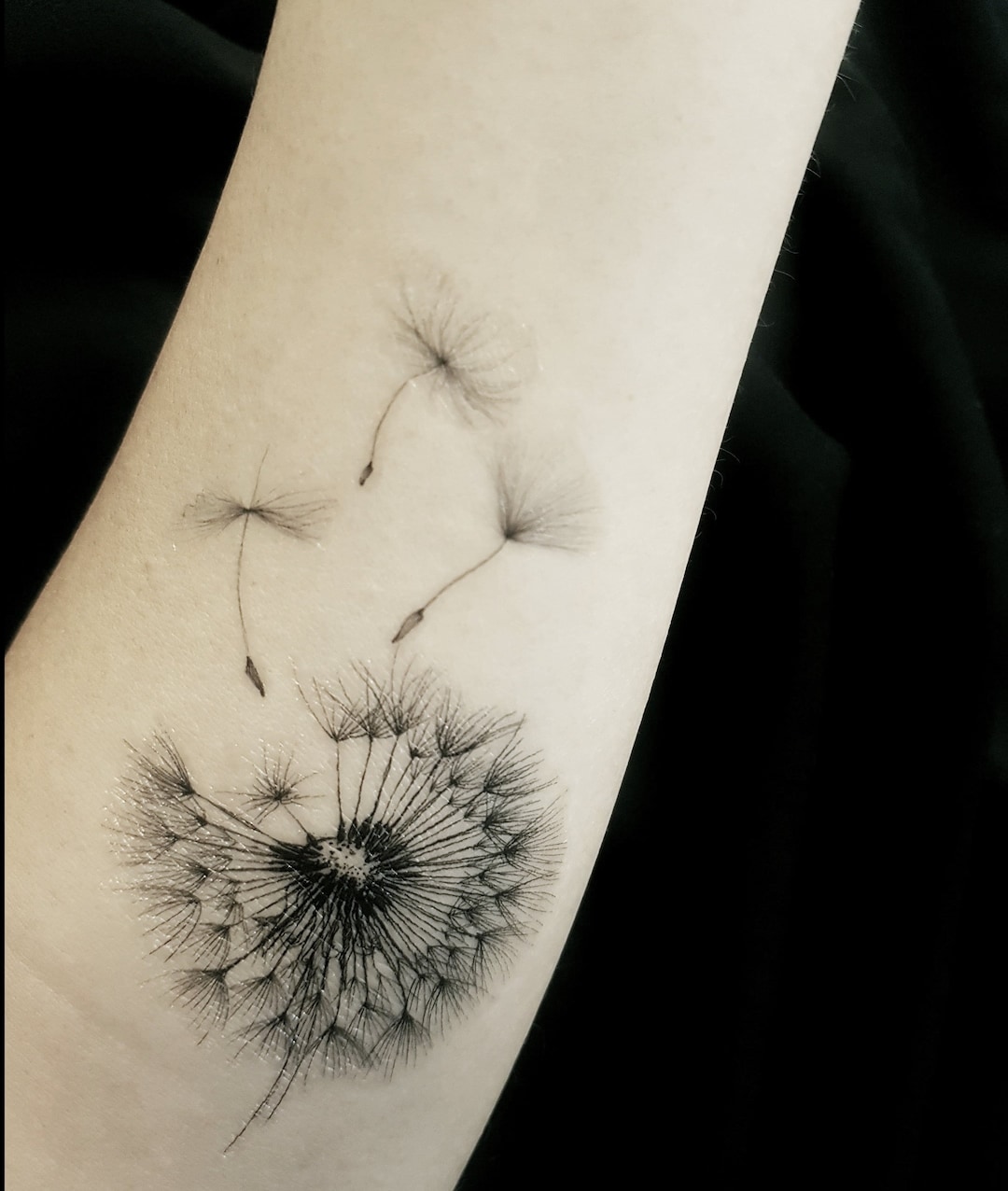 Dandelion drawing tattoo | Orangetattooshop.com