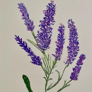 Lavender, Oil Pastel Painting - Etsy