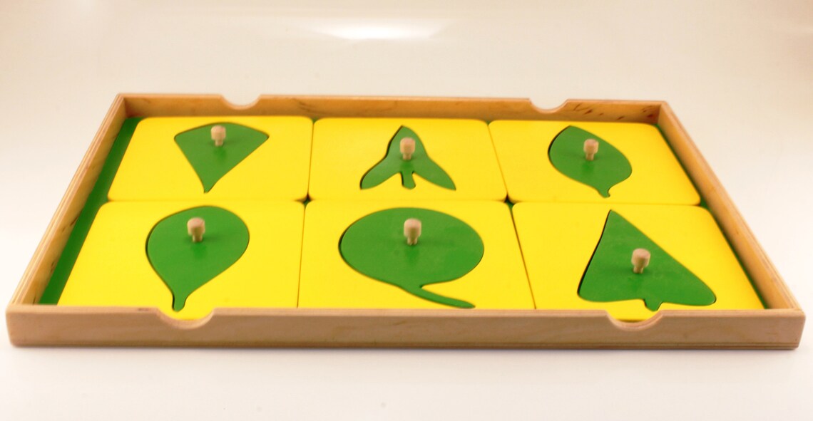 Montessori Botany Cabinet of Leaf Shapes Botany Leaf - Etsy