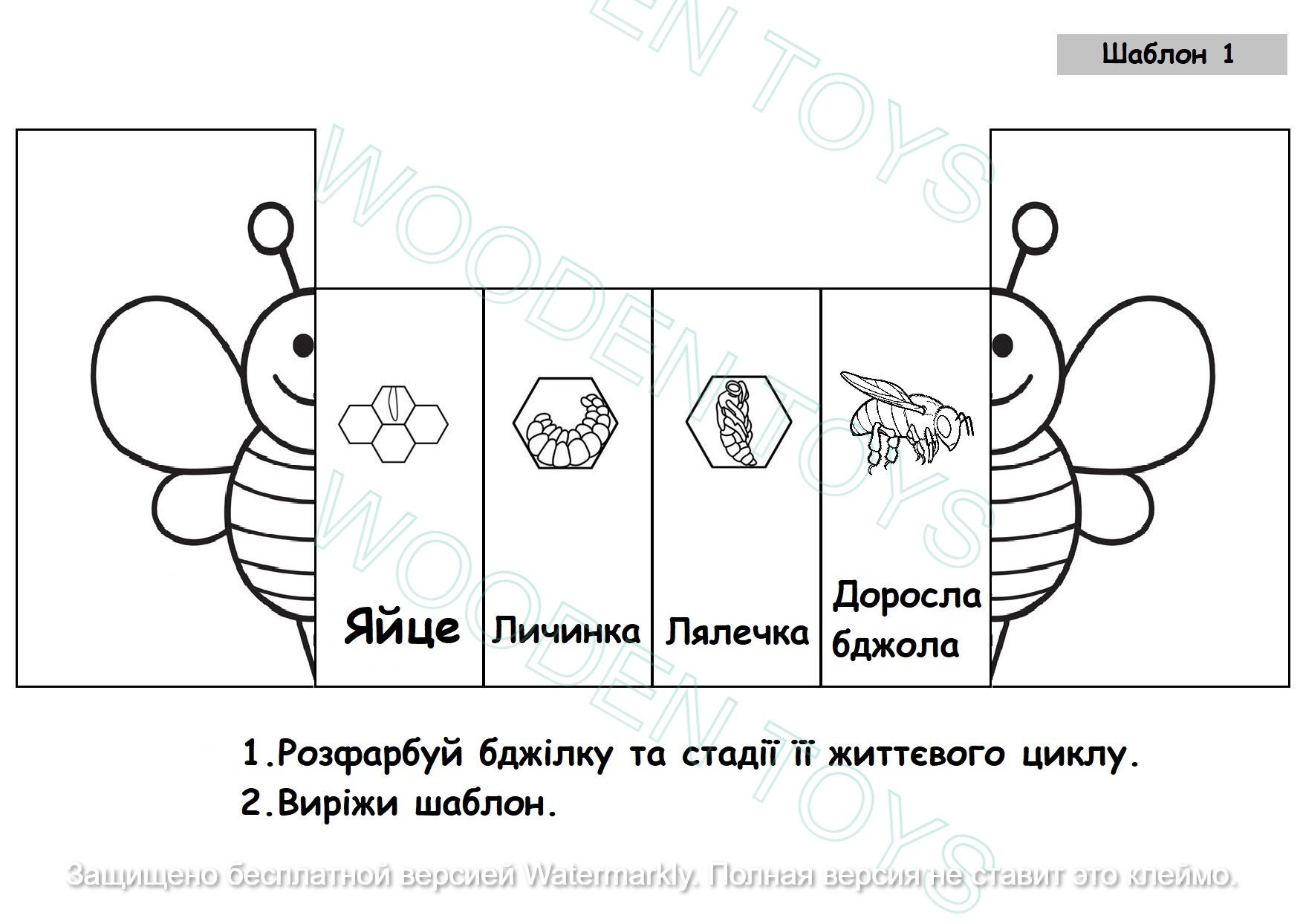 Ciclo de vida de la abeja Imprimible en ucraniano Ciclo de - Etsy México