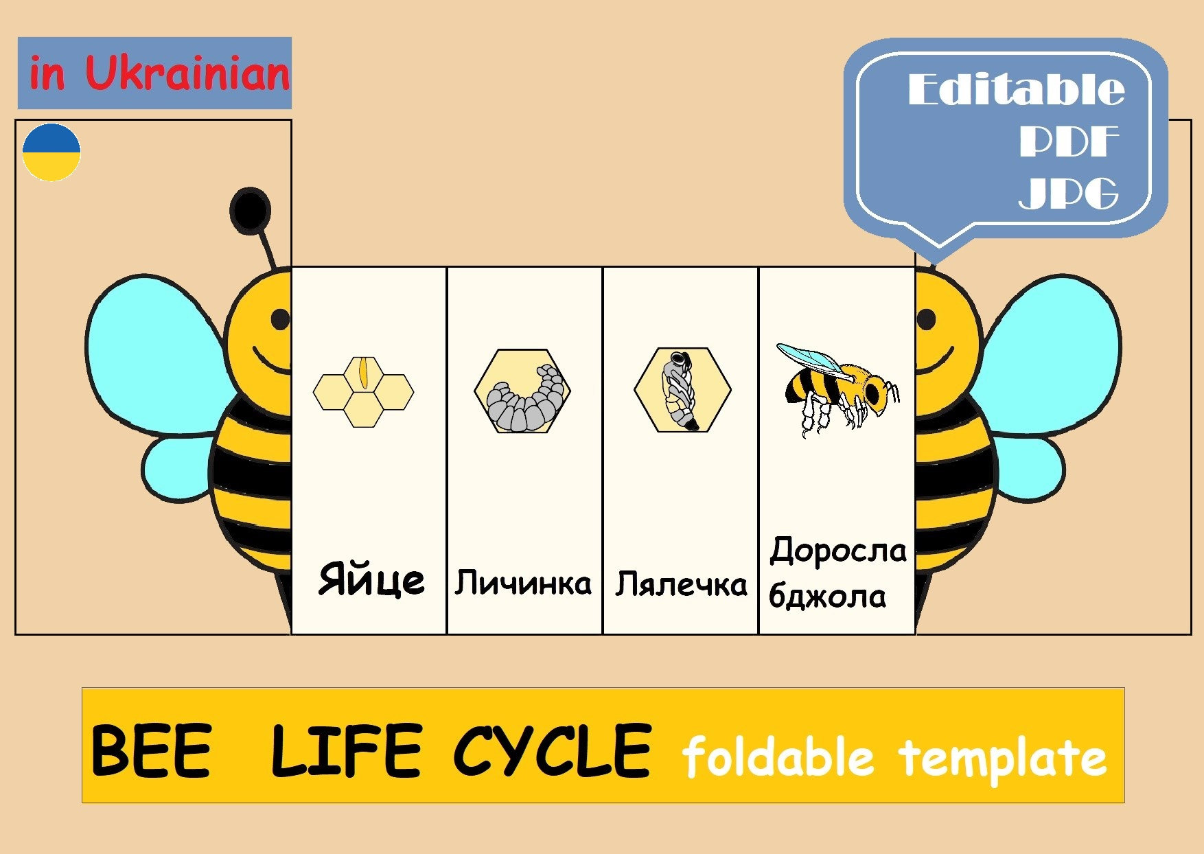 Ciclo de vida de las abejas imprimible en ucraniano, Ciclo de vida de ...