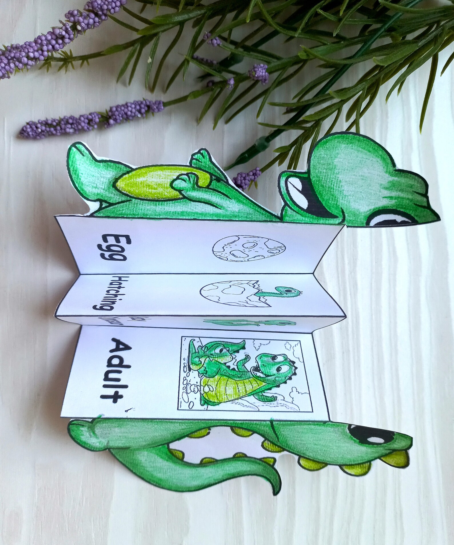 Dinosaur Life Cycle Dinosaurs Foldable Life Cycle Activity - Etsy