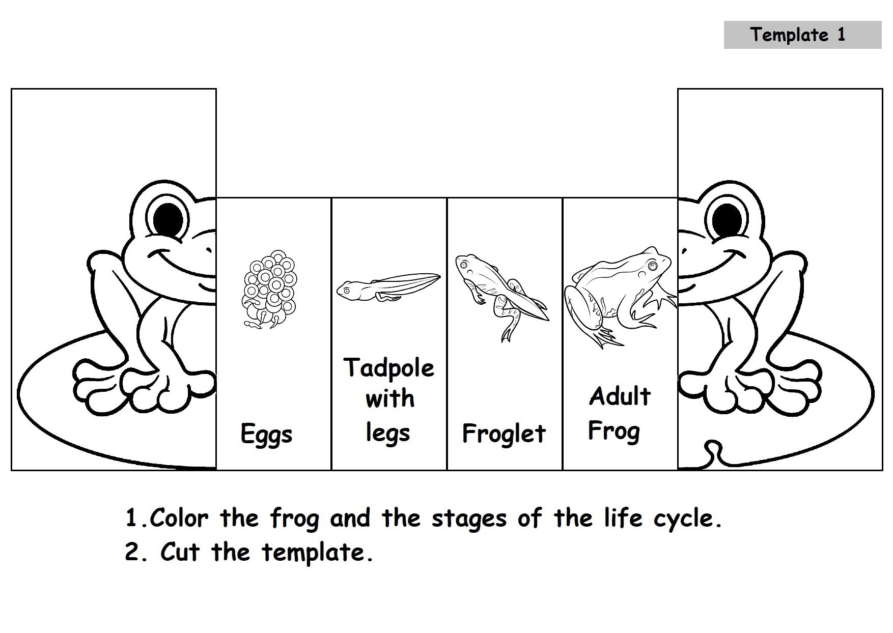 Frog Life Cycle Coloring Pages Frog Life Cycle Coloring Pages
