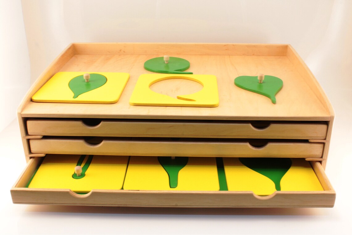 Montessori Botany Cabinet of Leaf Shapes Botany Leaf - Etsy
