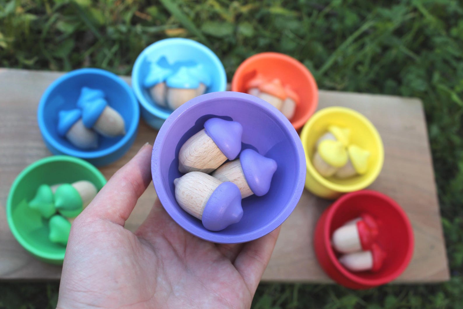 Wooden Acorn Set, Color Sorting Toy, Counting Toys, Montessori Waldorf ...