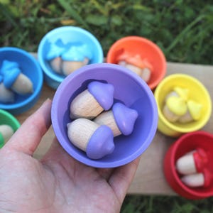 Wooden Acorn Set, Color Sorting Toy, Counting Toys, Montessori Waldorf ...