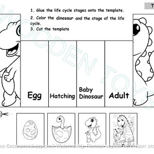 Dinosaur Life Cycle, Dinosaurs, Foldable Life Cycle Activity for Kids ...