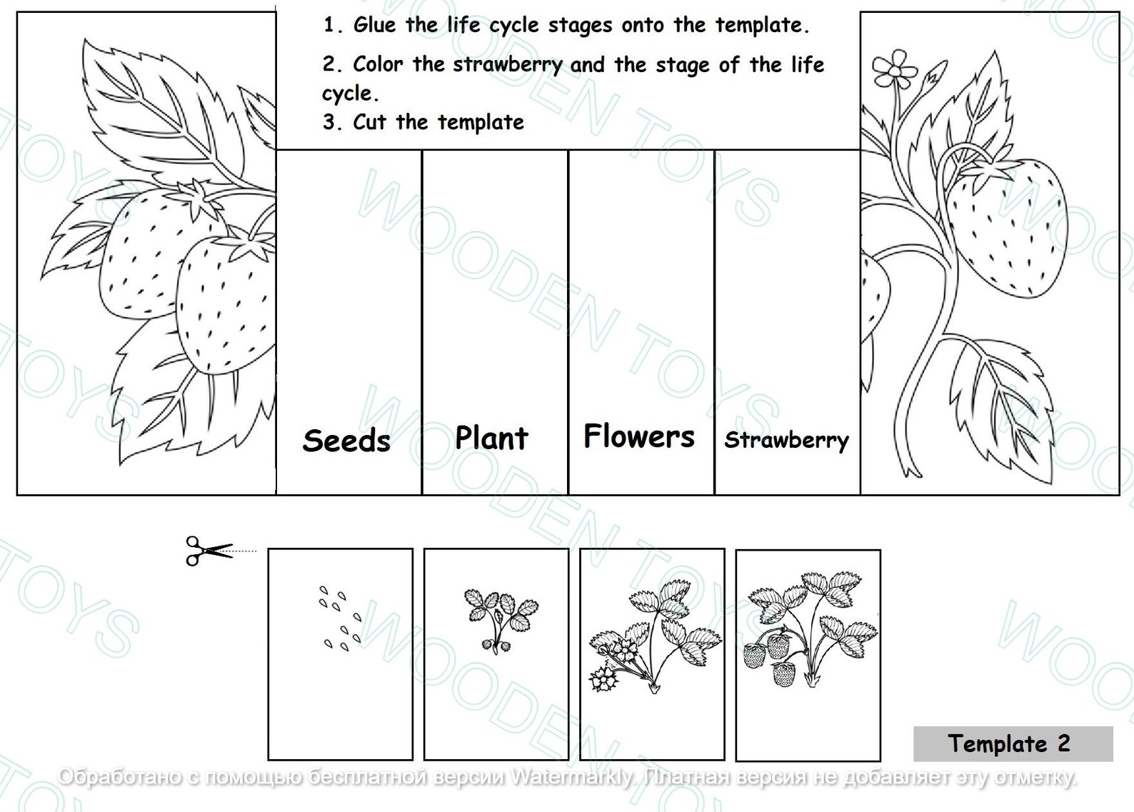 Strawberry Life Cycle Montessori Digital Montessori Busy Book - Etsy