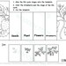 Strawberry Life Cycle, Montessori Digital Montessori Busy Book Activity ...