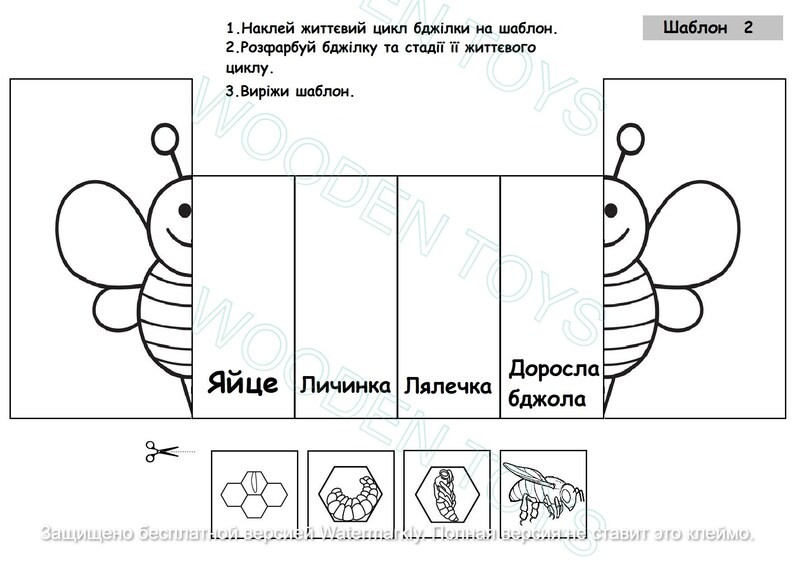Ciclo de vida de las abejas imprimible en ucraniano, Ciclo de vida de ...