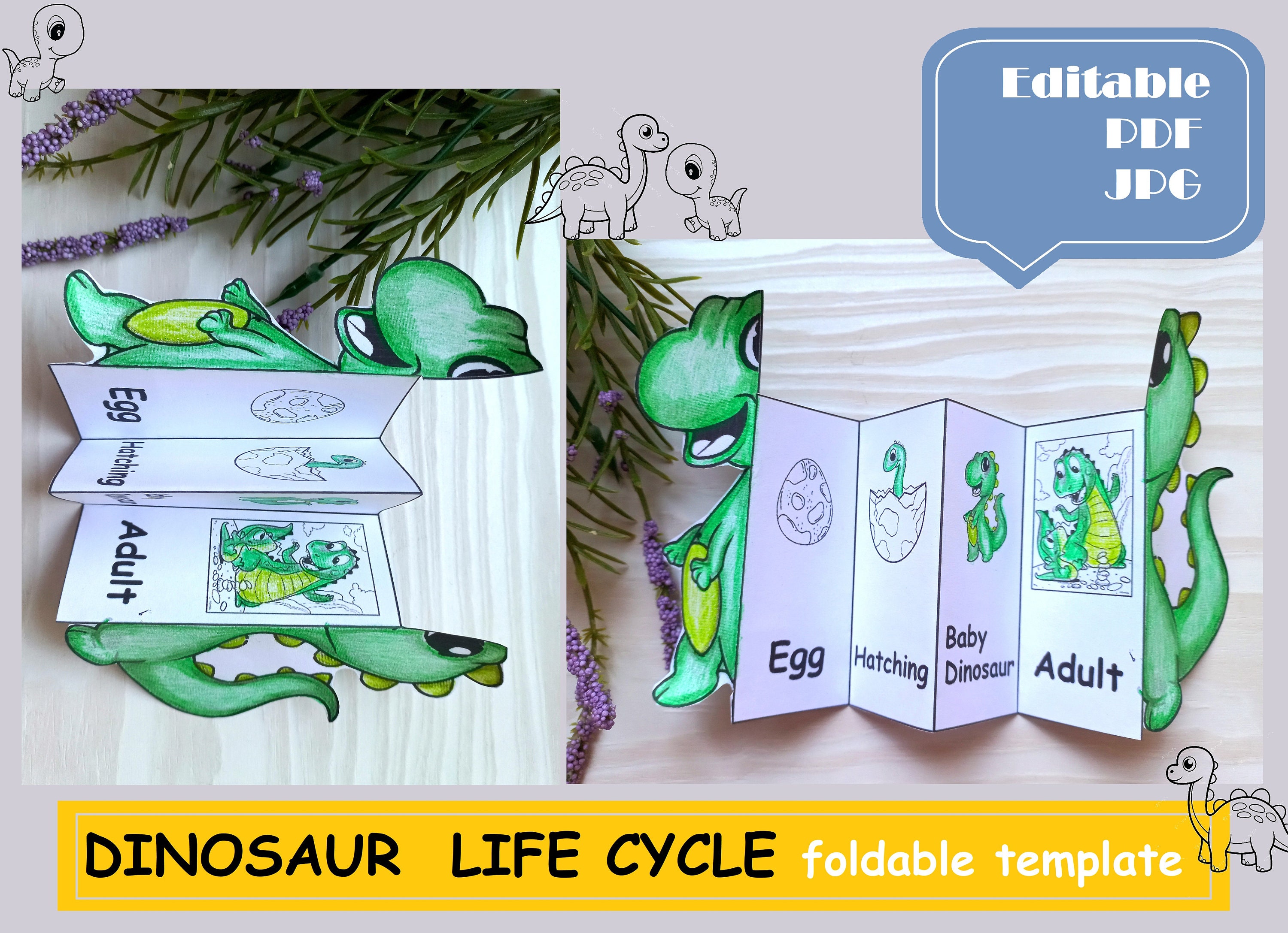 Dinosaur Life Cycle Dinosaurs Foldable Life Cycle Activity - Etsy
