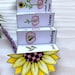 Sunflower Life Cycle, Montessori Cards, Digital Download Foldable Life ...
