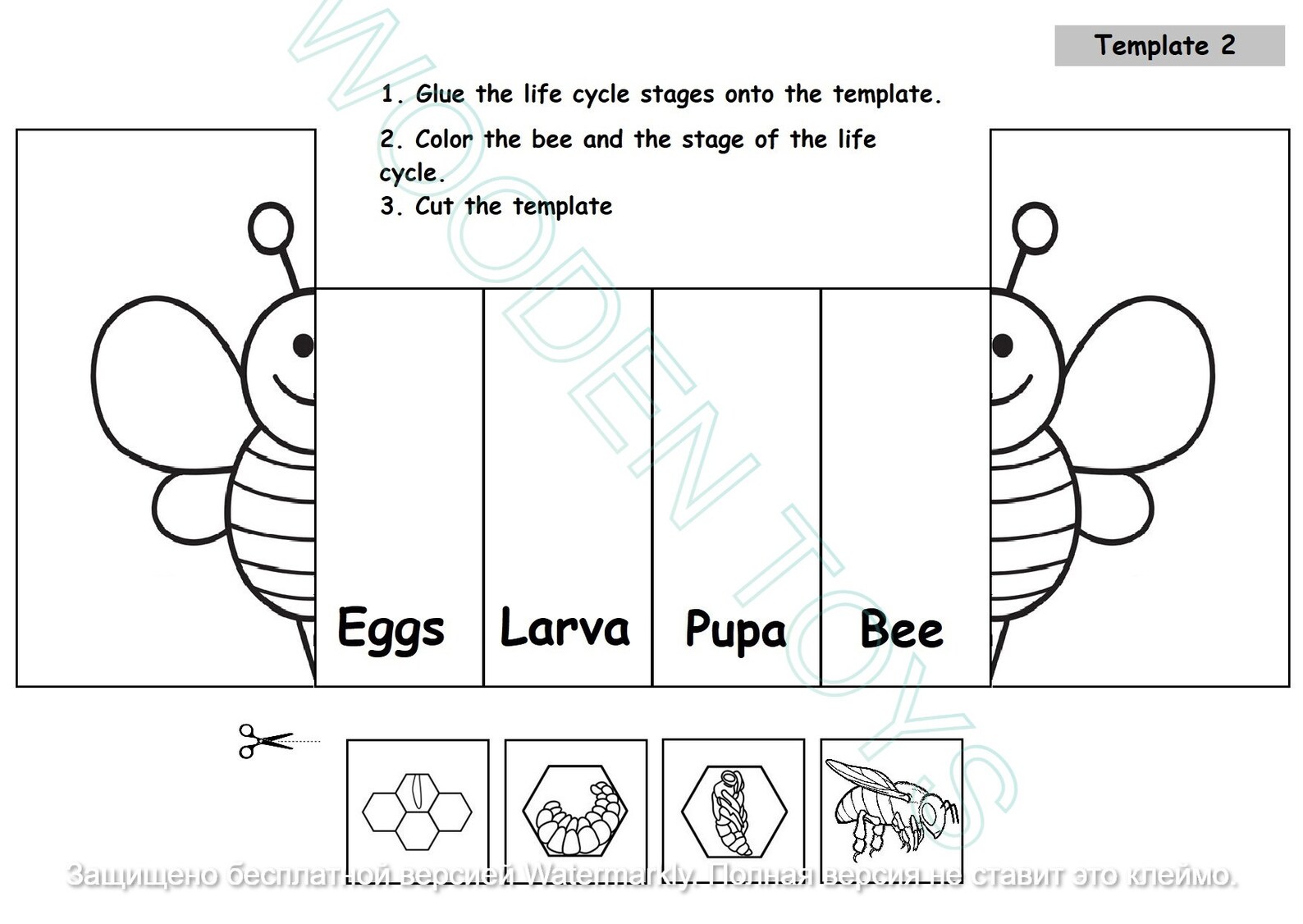 Bee Life Cycle Printable Foldable Bee Life Cycle Montessori - Etsy
