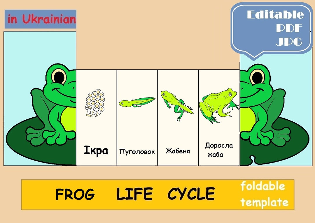 Frog Life Cycle in Ukrainian, Printable PDF Foldable Frog Life Cycle ...