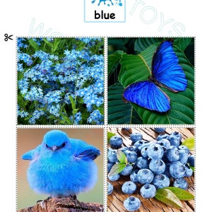 Toddler Color Matching Cards, Montessori Cards, Colors in Nature 10 ...