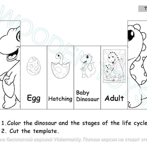 Dinosaur Life Cycle, Dinosaurs, Foldable Life Cycle Activity for Kids ...
