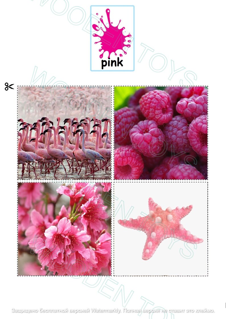 Toddler Color Matching Cards Montessori Cards Colors in - Etsy