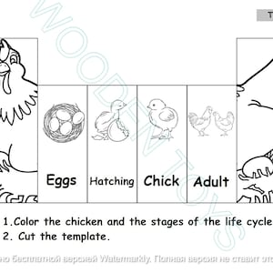Chicken Life Cycle, Foldable Kids Craft, Montessori Digital Download ...