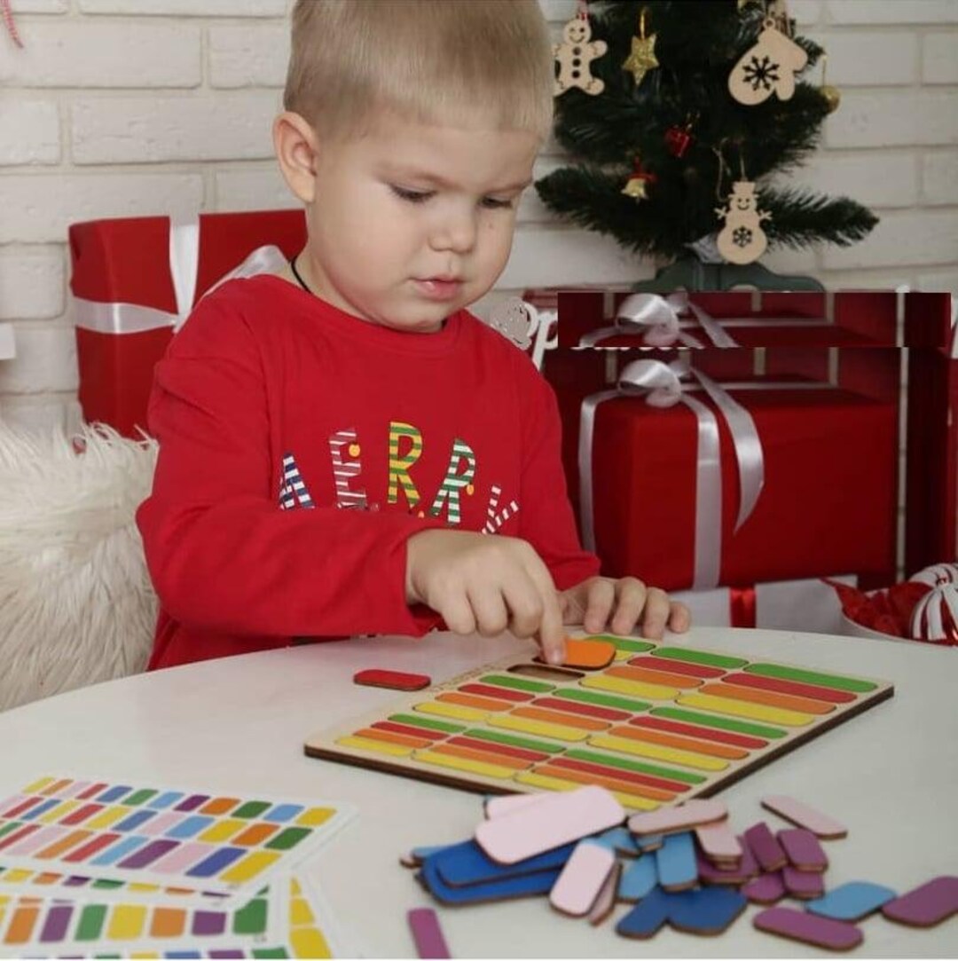 Wooden Color Sorting Toy, Matching Game, Montessori Learning Material ...
