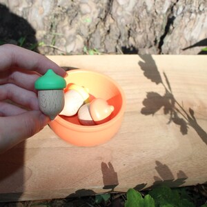 Wooden Acorn Set, Color Sorting Toy, Counting Toys, Montessori Waldorf ...