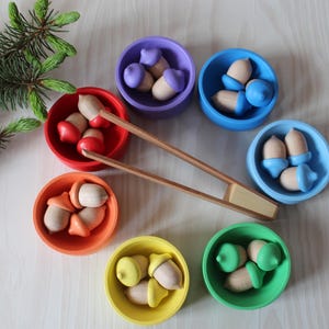 Wooden Acorn Set, Color Sorting Toy, Counting Toys, Montessori Waldorf ...