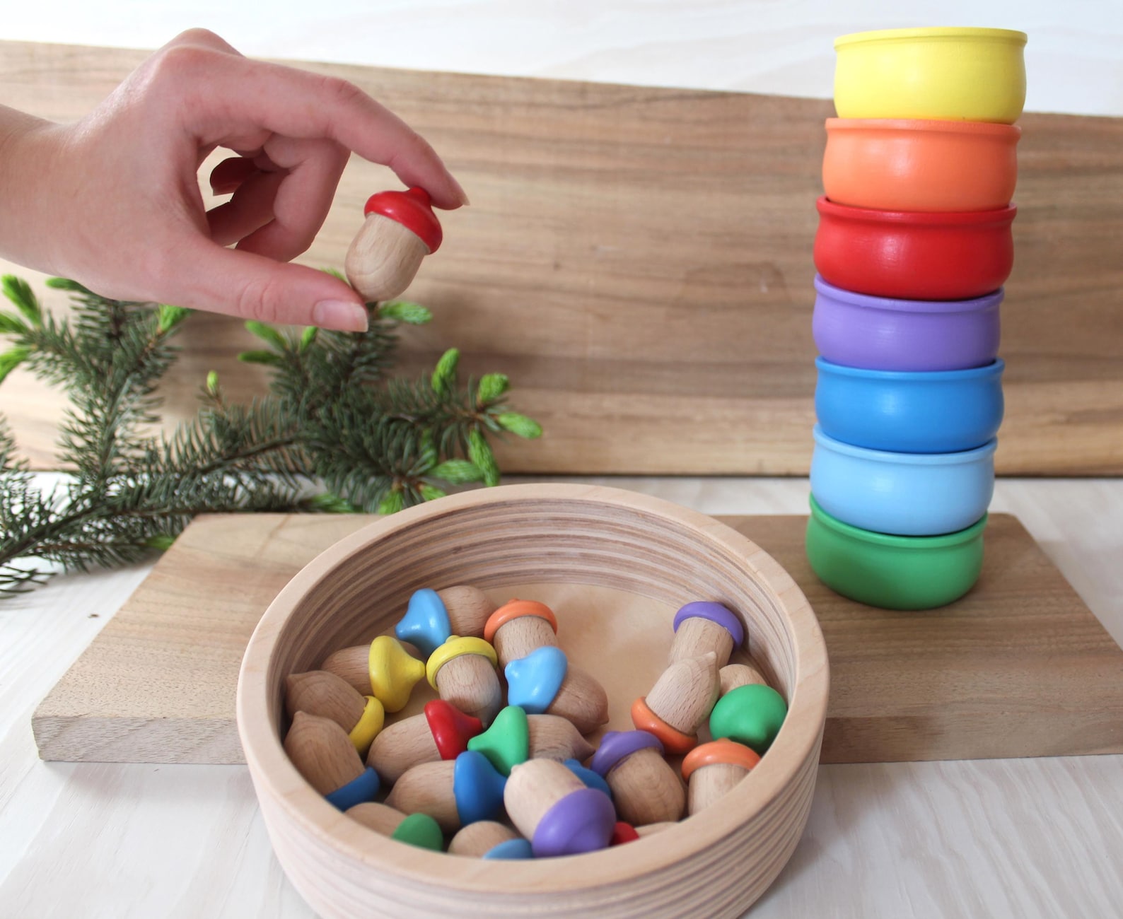 Wooden Acorn Set, Color Sorting Toy, Counting Toys, Montessori Waldorf ...