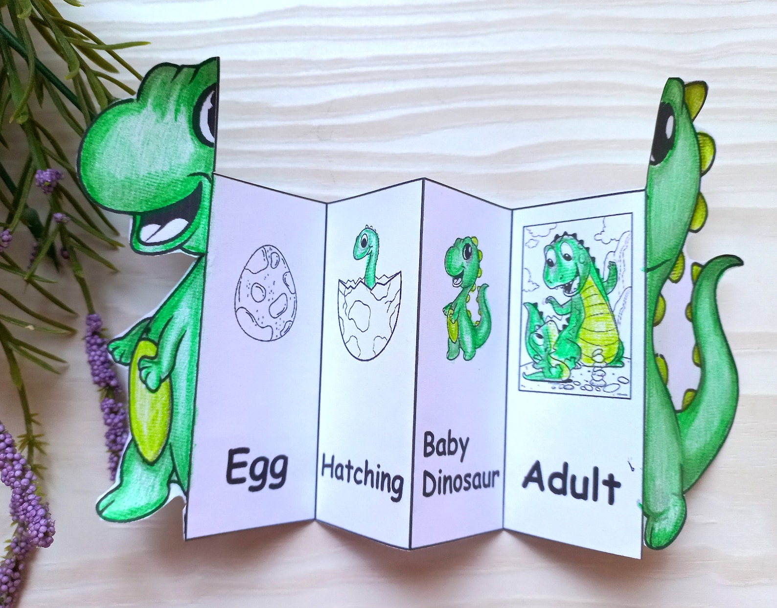 Dinosaur Life Cycle, Dinosaurs, Foldable Life Cycle Activity for Kids ...