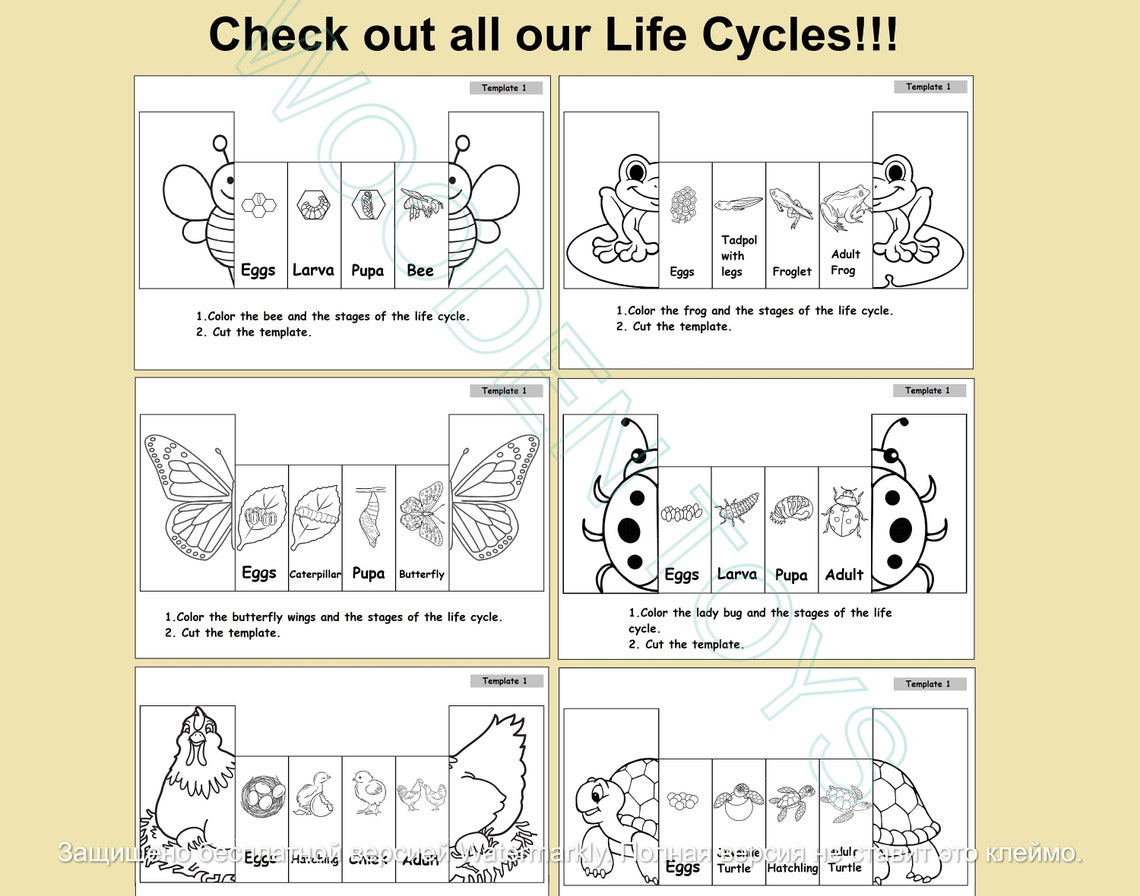 Butterfly Life Cycle Foldable Butterfly Montessori Cards - Etsy