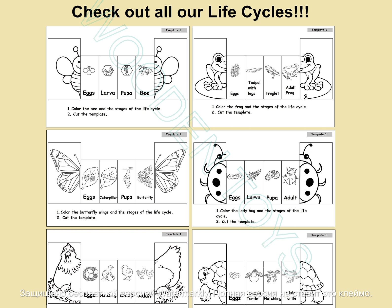 Butterfly Life Cycle, Foldable Butterfly, Montessori Cards Butterfly ...