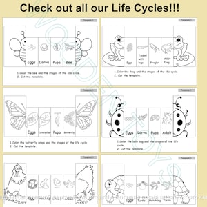 Butterfly Life Cycle, Foldable Butterfly, Montessori Cards Butterfly ...