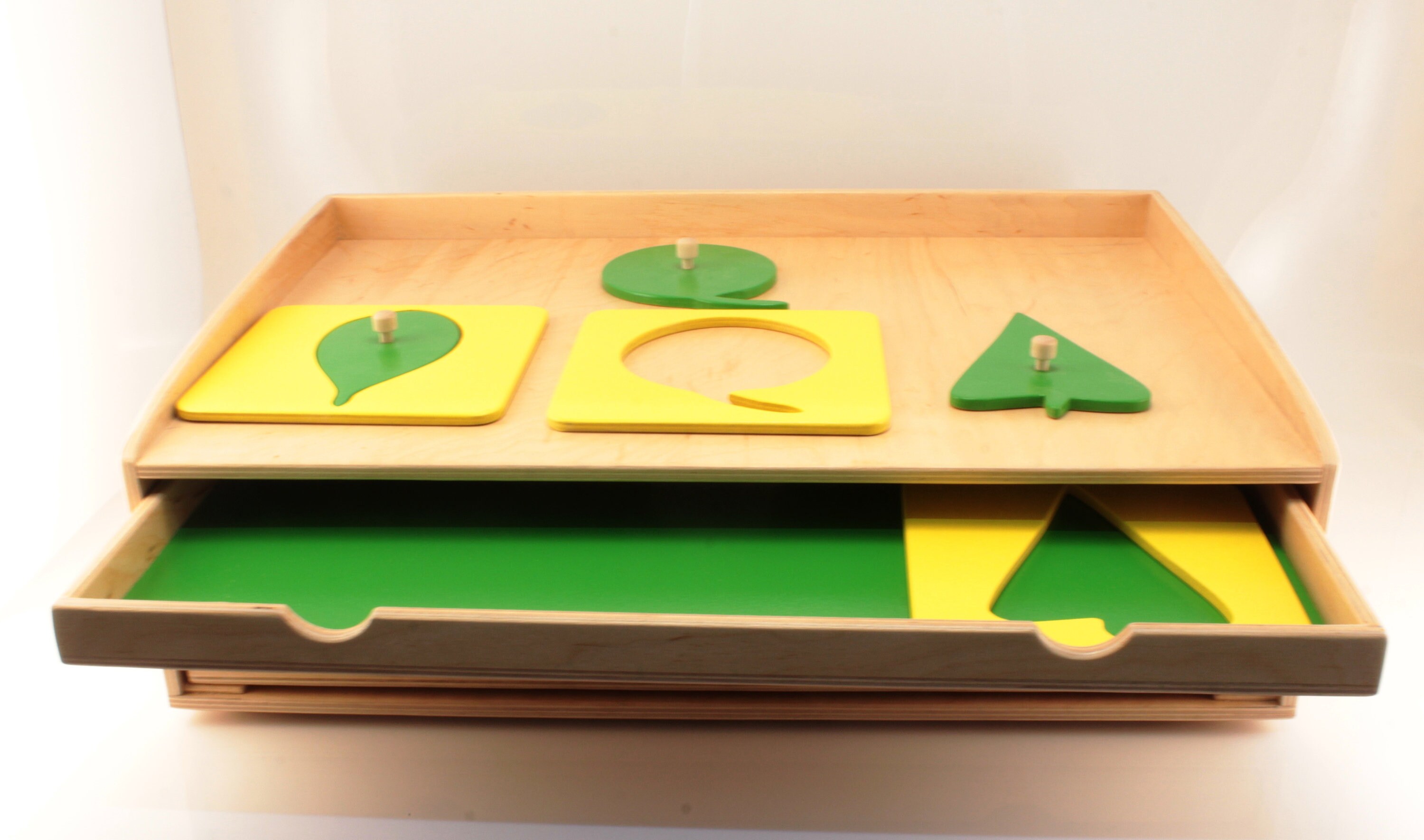 Montessori Botany Cabinet of Leaf Shapes Botany Leaf - Etsy