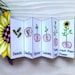 Sunflower Life Cycle, Montessori Cards, Digital Download Foldable Life ...