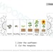 Sunflower Life Cycle, Montessori Cards, Digital Download Foldable Life ...