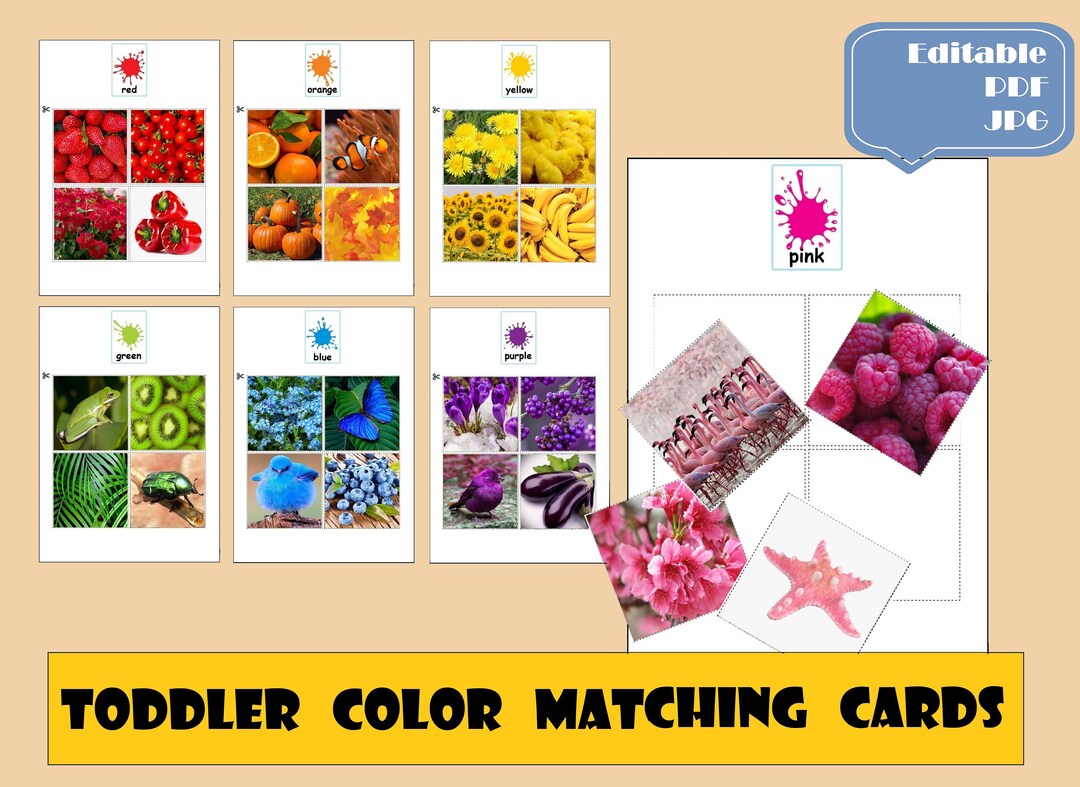 Toddler Color Matching Cards, Montessori Cards, Colors in Nature 10 ...