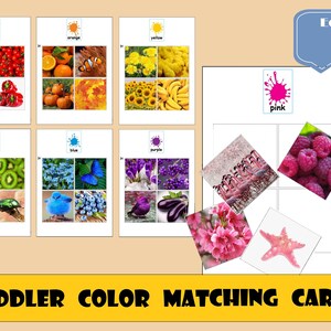 Toddler Color Matching Cards, Montessori Cards, Colors in Nature 10 ...