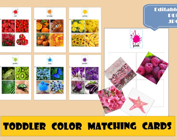 Toddler Color Matching Cards Montessori Cards Colors in - Etsy