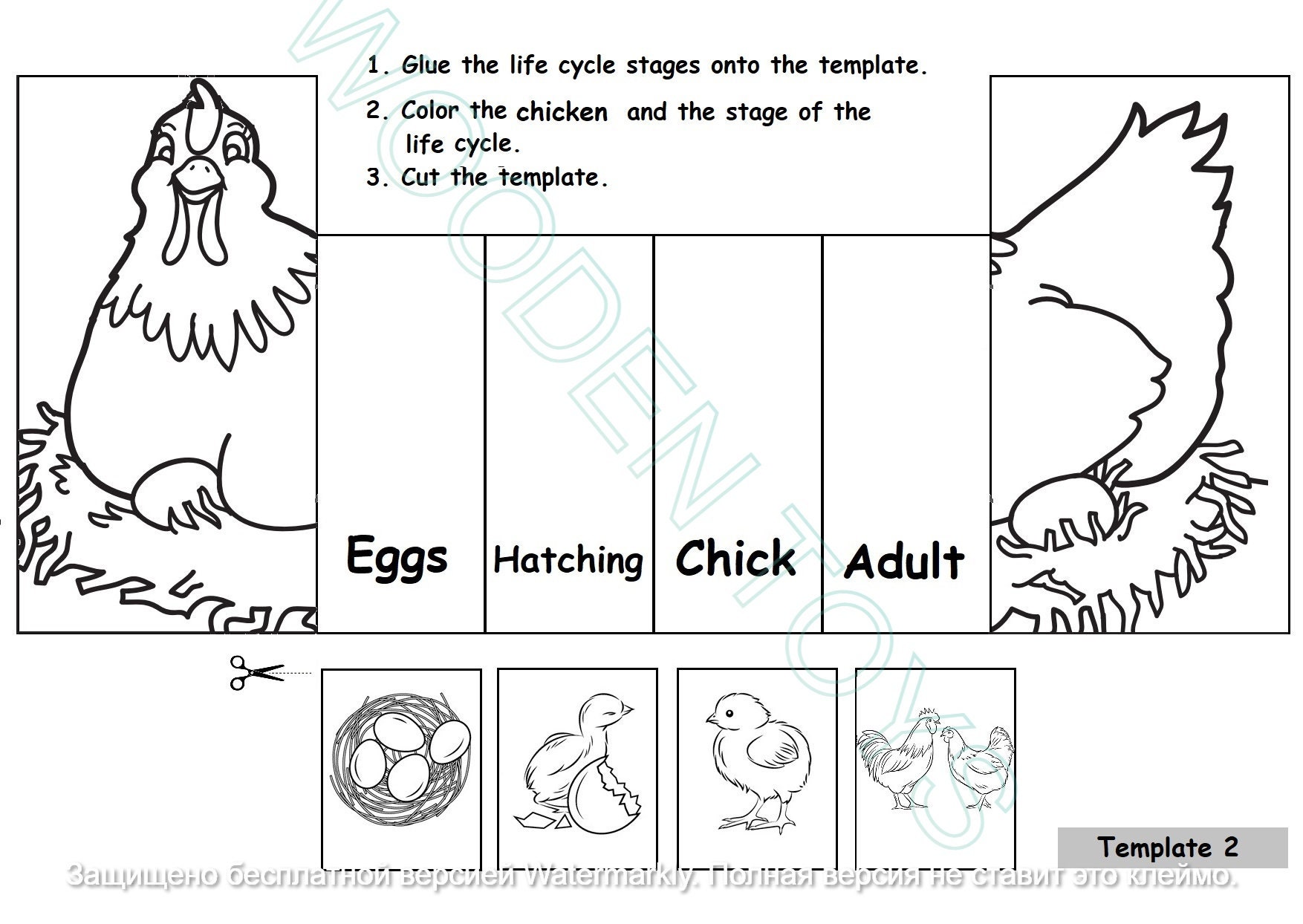 Chicken Life Cycle Foldable Kids Craft Montessori Digital - Etsy