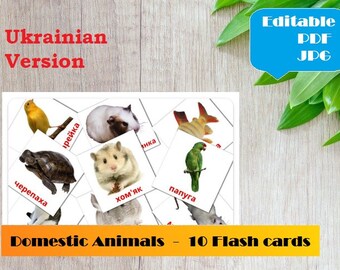 Ukrainian Flash Cards - Etsy