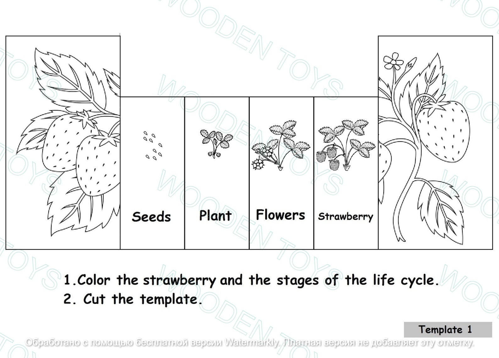 Strawberry Life Cycle Montessori Digital Montessori Busy Book - Etsy