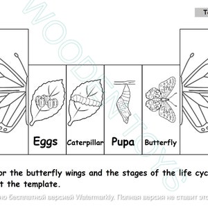 Butterfly Life Cycle, Foldable Butterfly, Montessori Cards Butterfly ...