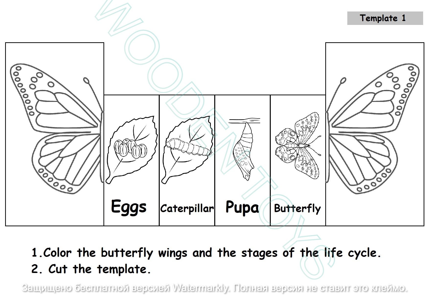 Butterfly Life Cycle, Foldable Butterfly, Montessori Cards Butterfly ...