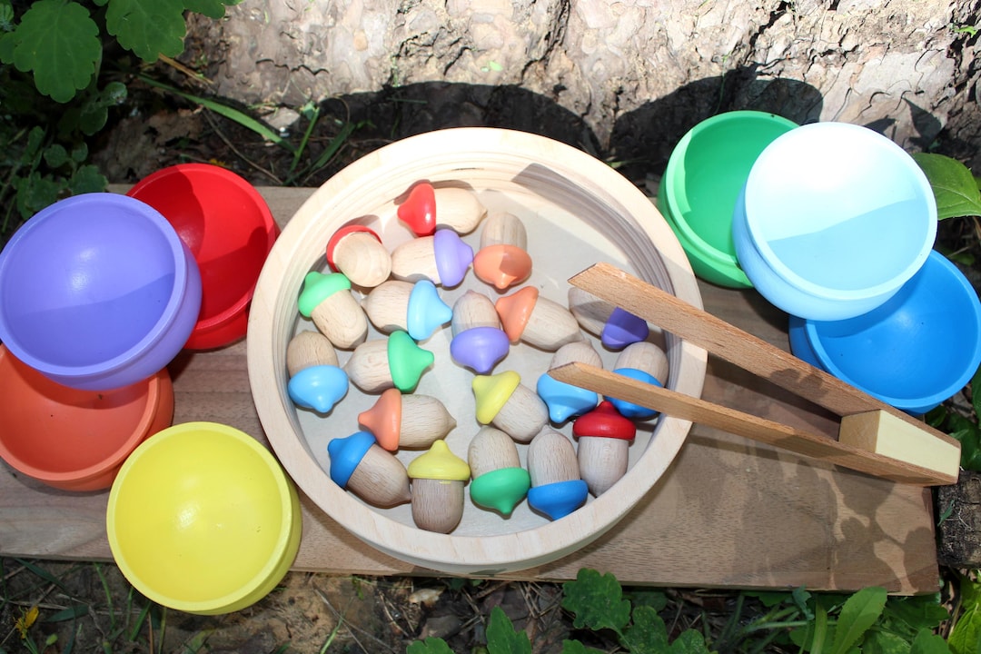 Wooden Acorn Set, Color Sorting Toy, Counting Toys, Montessori Waldorf ...