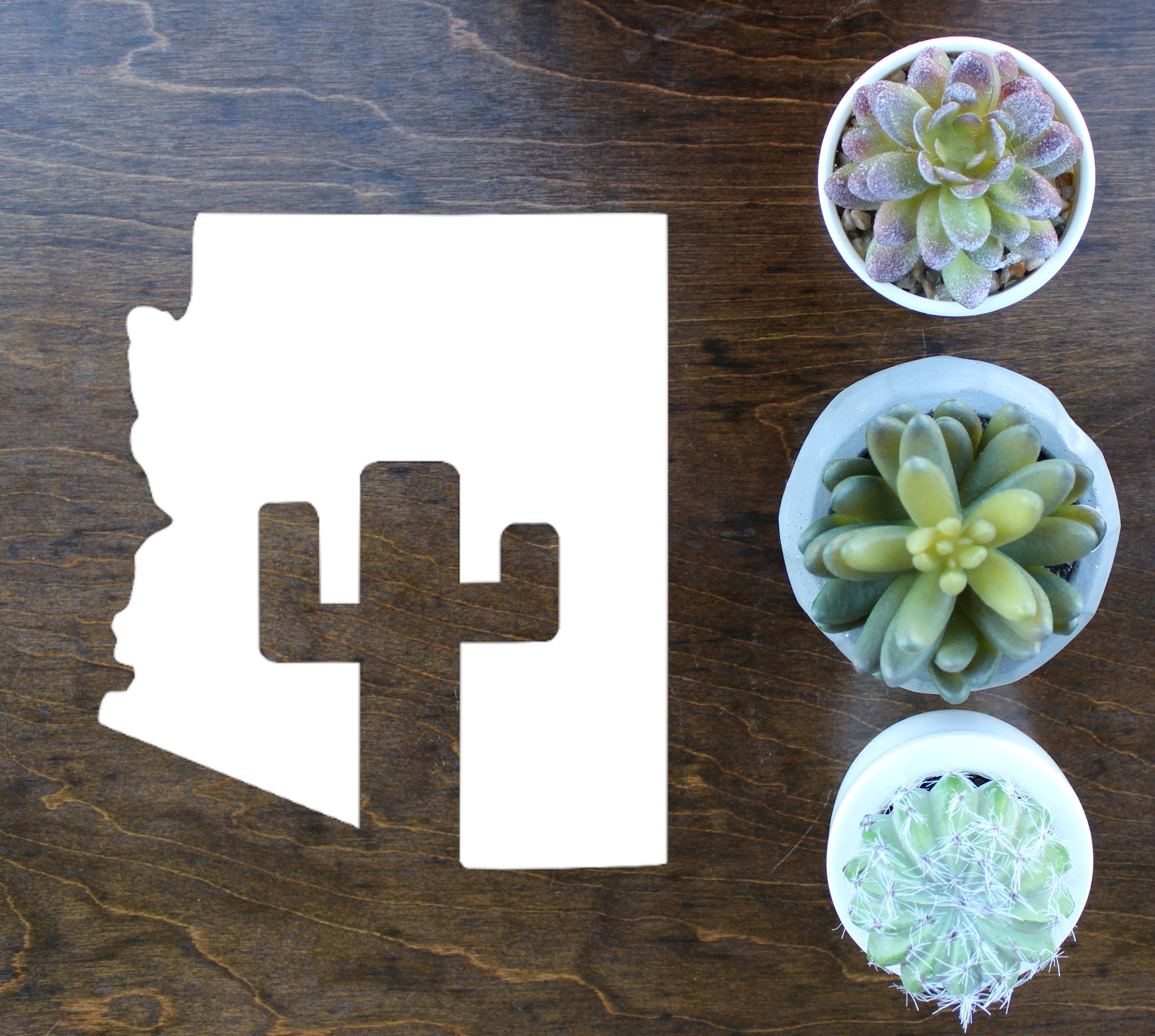 Arizona Cactus Vinyl Decal | Car Decal | Bumper Sticker - Etsy