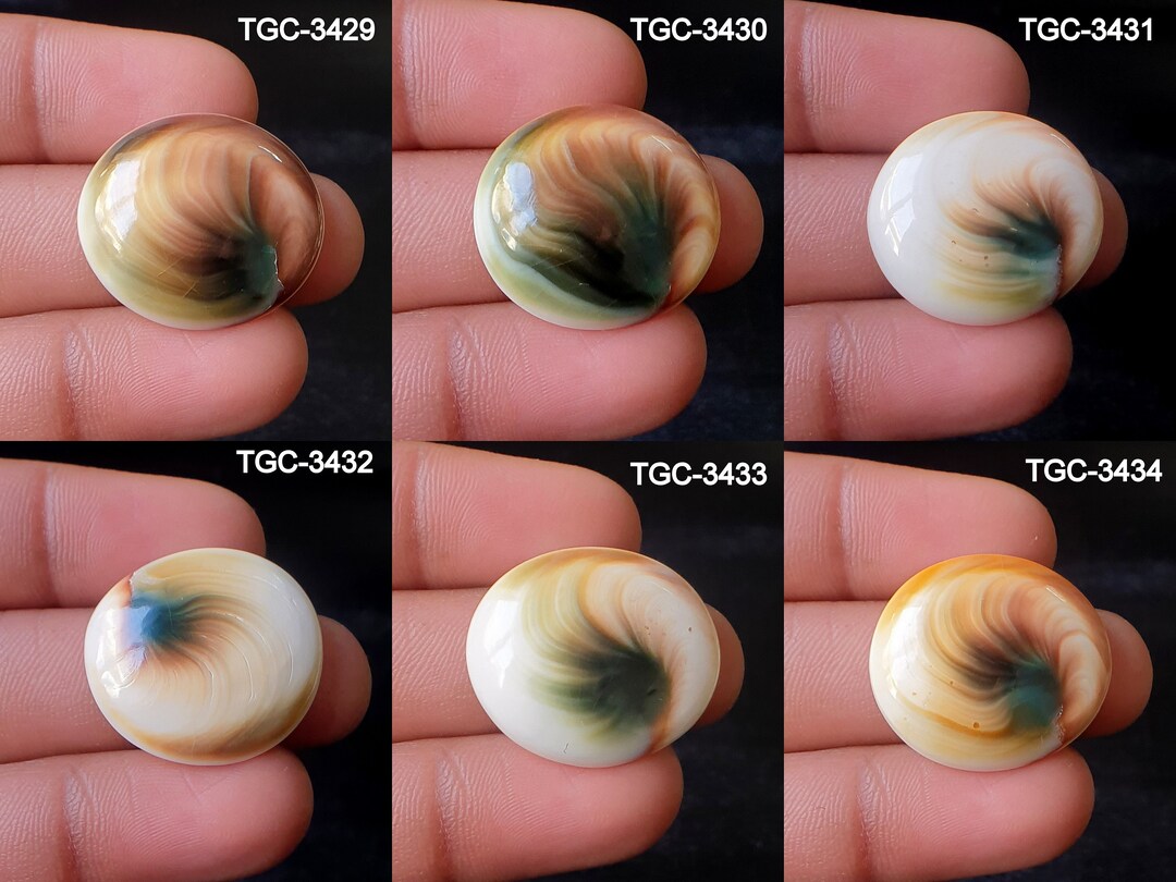 Shiva Eye Shell Natural Shiva Eye Gemstone High Quality Shiva Eye Stone ...