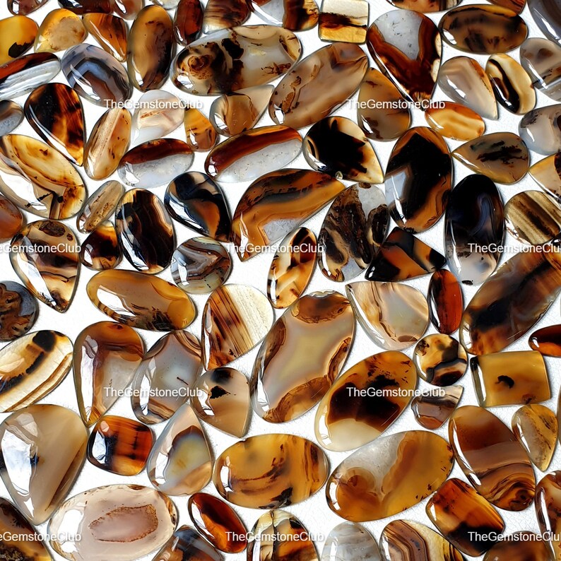 Bulk Montana Agate Lot Yellow Montana Agate Cabochon Lot | Etsy