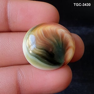 Shiva Eye Shell Natural Shiva Eye Gemstone High Quality Shiva Eye Stone ...
